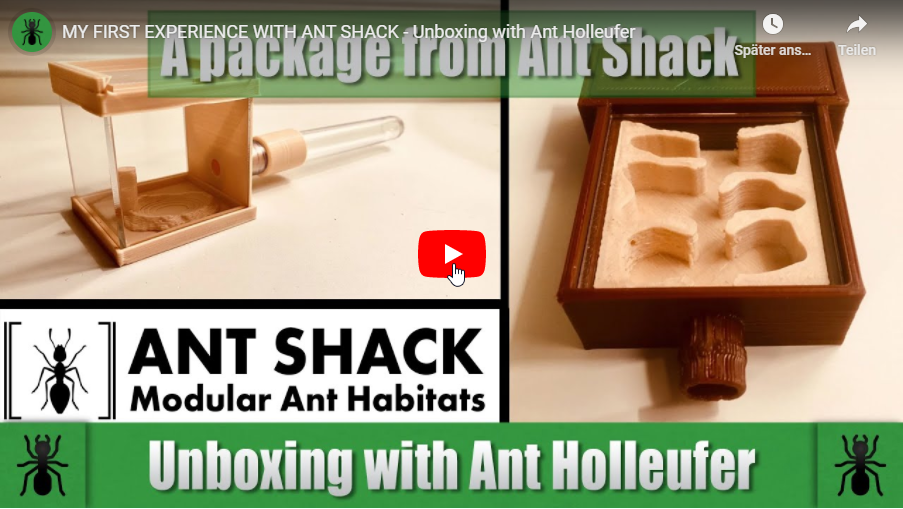 ANT SHACK - Formicarium and Ant Farm Kit Shop | MY FIRST EXPERIENCE ...