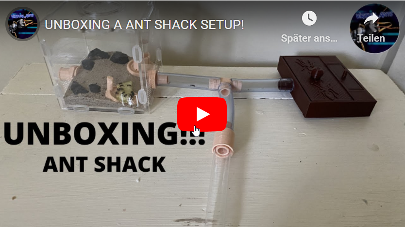 ANT SHACK - Formicarium and Ant Farm Kit Shop | UNBOXING A ANT SHACK SETUP!