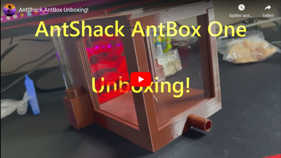 ANT SHACK - Formicarium and Ant Farm Kit Shop | ANT SHACK AntBox Unboxing!