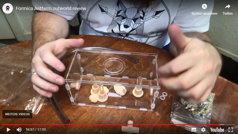 ANT SHACK - Formicarium and Ant Farm Kit Shop | Ant Outworld Kit ...