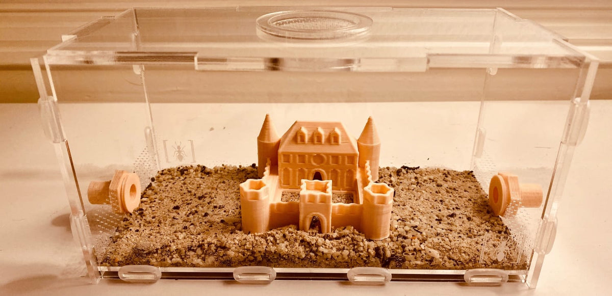 ANT SHACK - Formicarium and Ant Farm Kit Shop | Ant Outworlds/Foraging Arenas