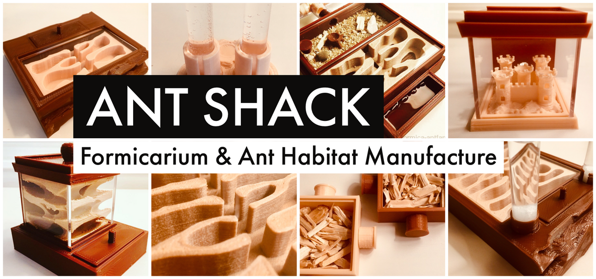 ANT SHACK - Formicarium and Ant Farm Kit Shop | Complete Ant Farm Kits