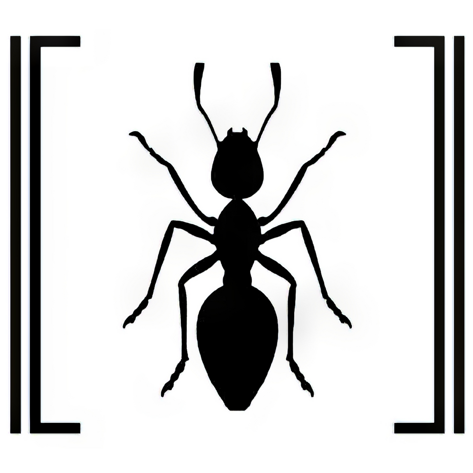 ANT SHACK - Formicarium and Ant Farm Kit Shop | ANT SHACK - Formicarium ...