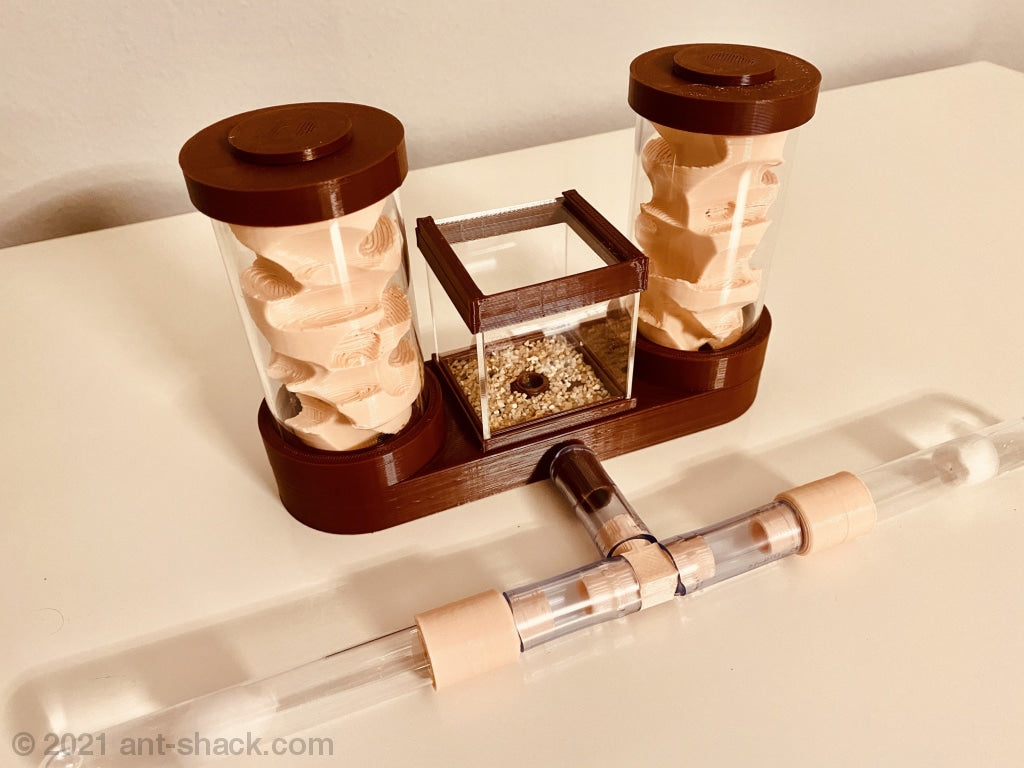 ANT SHACK - Formicarium and Ant Farm Kit Shop | All-in-One Desktop Ant ...