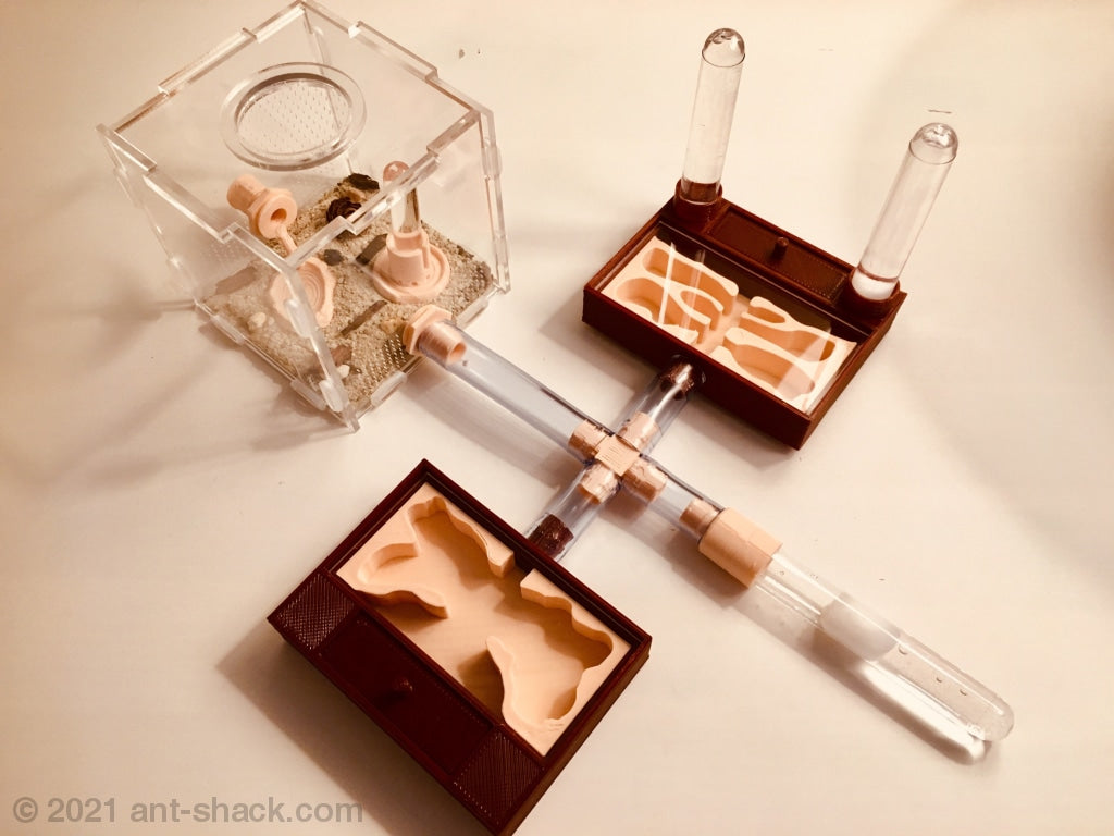 ANT SHACK - Formicarium and Ant Farm Kit Shop | Ant Habitat Kit ...