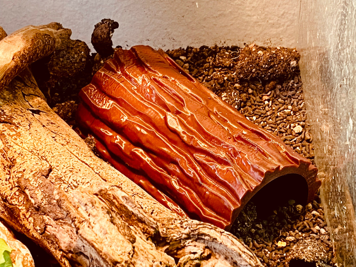 ANT SHACK - Formicarium and Ant Farm Kit Shop | Reptile / Spider Half ...