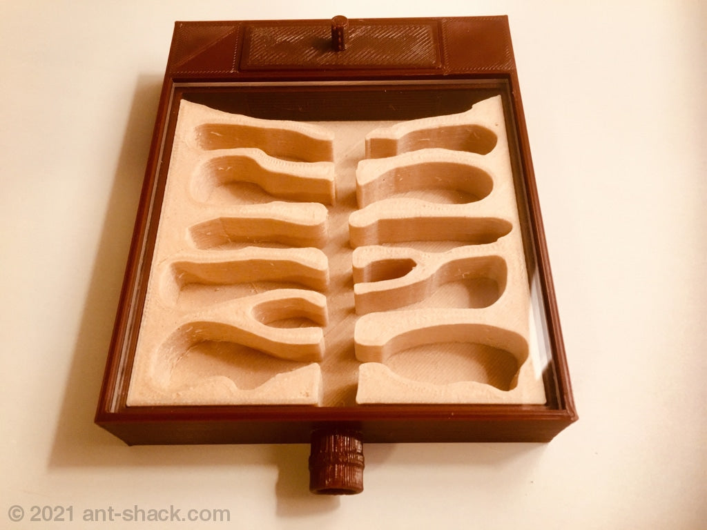 ANT SHACK - Formicarium and Ant Farm Kit Shop | Large Ant Nest