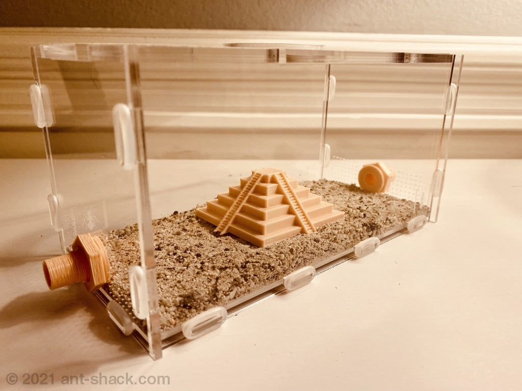ANT SHACK - Formicarium and Ant Farm Kit Shop | Large Ant Outworld Kit ...