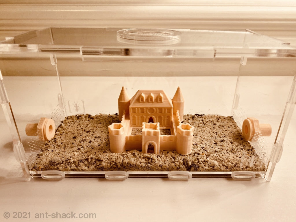 ANT SHACK - Formicarium and Ant Farm Kit Shop | Large Ant Outworld Kit ...