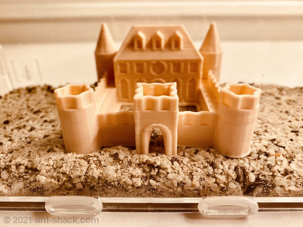 ANT SHACK - Formicarium and Ant Farm Kit Shop | Large Ant Outworld Kit ...