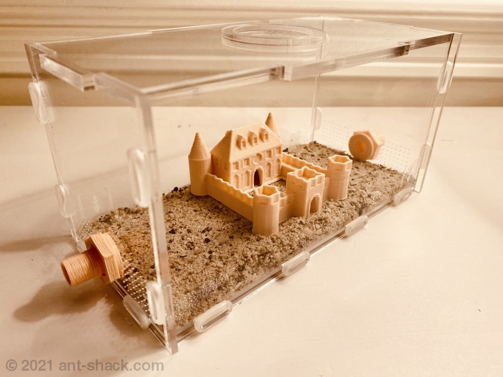 ANT SHACK - Formicarium and Ant Farm Kit Shop | Large Ant Outworld Kit ...