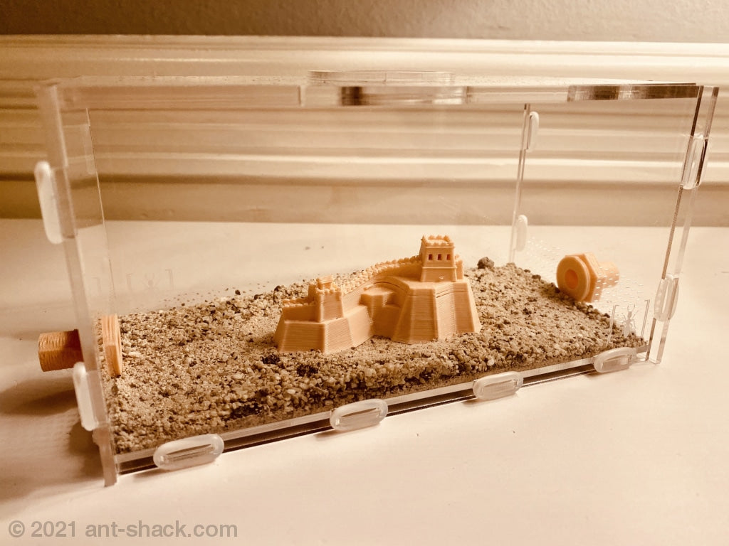 ANT SHACK - Formicarium and Ant Farm Kit Shop | Large Ant Outworld Kit ...