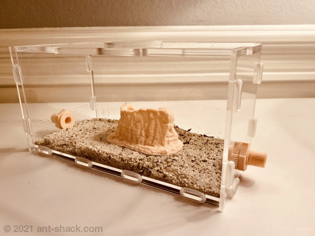 ANT SHACK - Formicarium and Ant Farm Kit Shop | Large Ant Outworld Kit ...