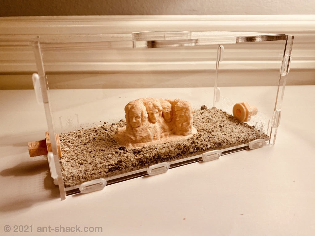 ANT SHACK - Formicarium and Ant Farm Kit Shop | Large Ant Outworld Kit ...