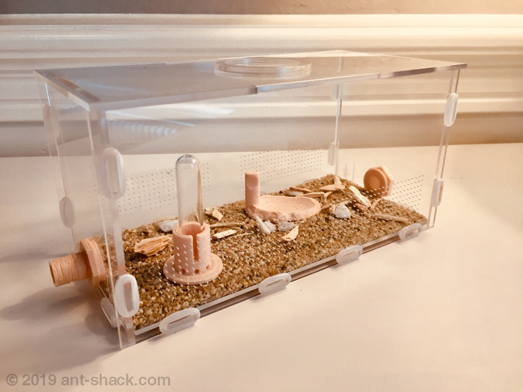 Largest Formicarium