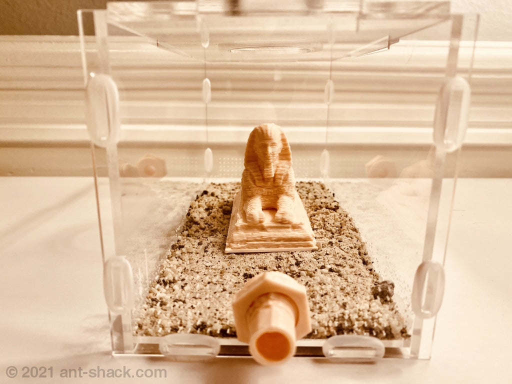 ANT SHACK - Formicarium and Ant Farm Kit Shop | Large Ant Outworld Kit ...