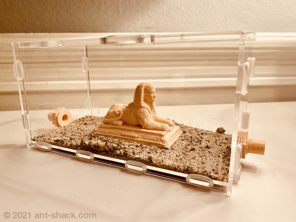 ANT SHACK - Formicarium and Ant Farm Kit Shop | Large Ant Outworld Kit ...