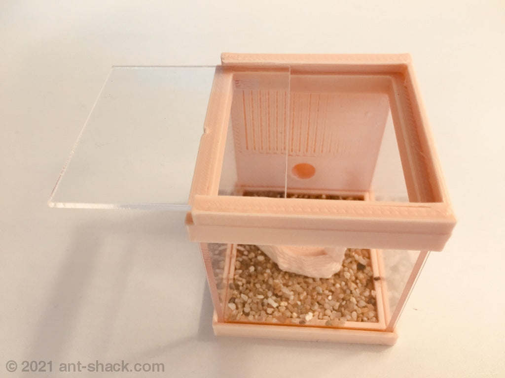 ANT SHACK - Formicarium and Ant Farm Kit Shop | Small Ant Outworld Kit ...