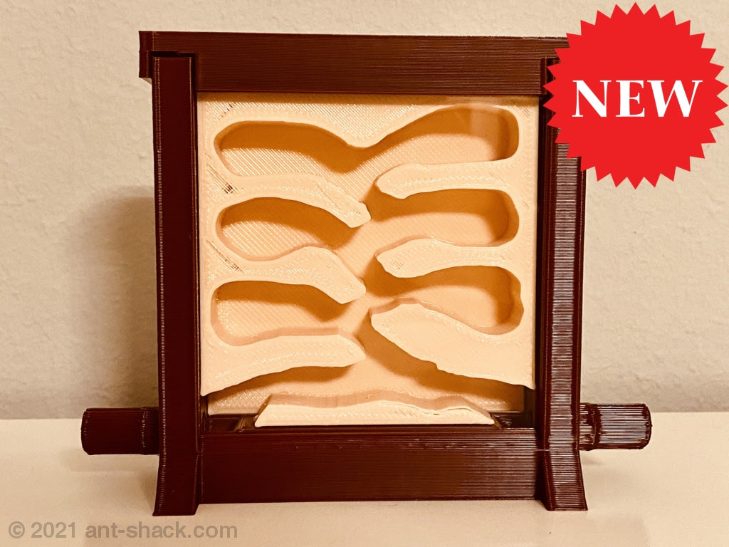 ANT SHACK - Formicarium and Ant Farm Kit Shop | Vertical Ant Nest “Miami”